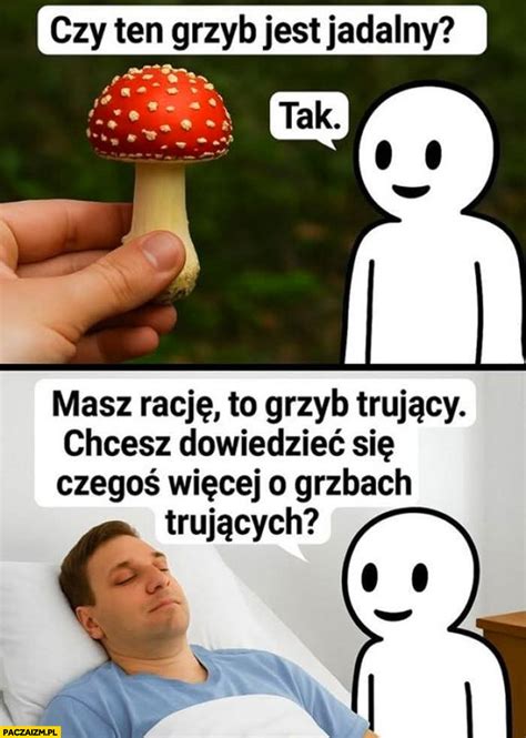 Czy Ten Grzyb Jest Jadalny Ai Chat Gpt Tak Masz Rację To Grzyb Trujący Chcesz Dowiedzieć Się