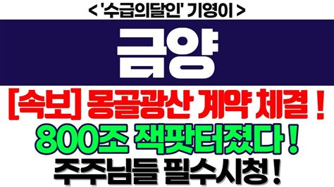 금양 주가전망 속보 몽골광산 계약 체결 800조 잭팟터졌다 주주님들 필수시청 Feat 수급의달인 기영이 박순혁 서정덕tv 김작가 Tv 이엔플러스