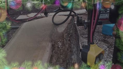 Sawmilling Up Mulberry Log Eporner