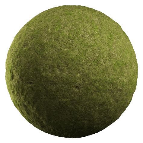 Patchy Lawn Grass Pbr Texture A23d