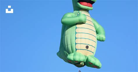 파란색과 흰색 물방울 무늬 스카프를 가진 녹색 개구리 사진 Unsplash의 무료 Nm 이미지