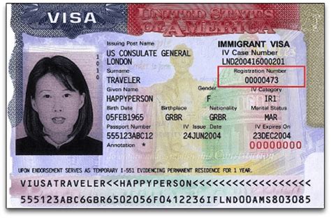 A Simple Guide Where To Find Your Alien Registration Number