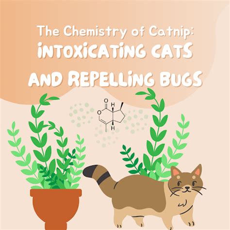 The Chemistry Of Catnipintoxicating And Effective Bug Repellant The