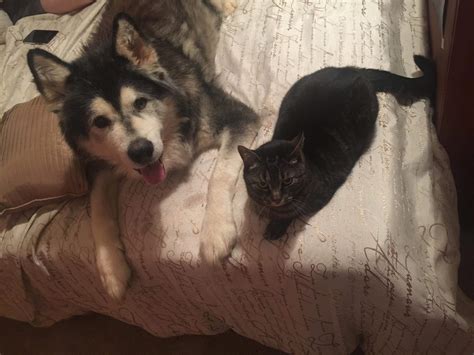 Takaani Likes Hanging Out With Katara Scrolller