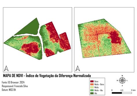 O Mapa De Ndvi Índice De Vegetação Por Diferença Normalizada é Uma