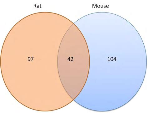 12 Common Upregulated Genes In Both Rat And Mouse Glomeruli There