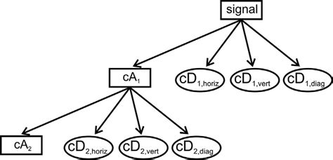Scheme Of Two Dimensional Discrete Wavelet Decomposition Of Echo Signal Download Scientific