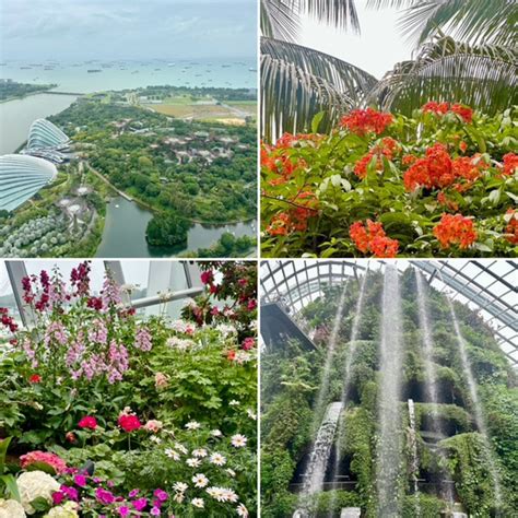 여행 세상 알찬 싱가포르 자유여행 3박 5일 일정 코스 추천 및 후기 네이버 블로그