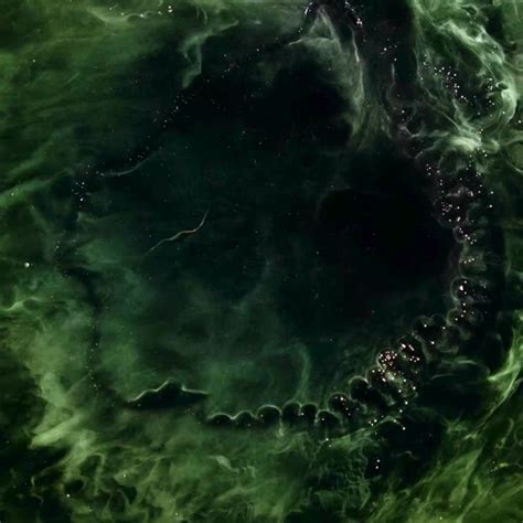 Zoe Melchizedek On Linkedin Character Preserves Leadership Influence