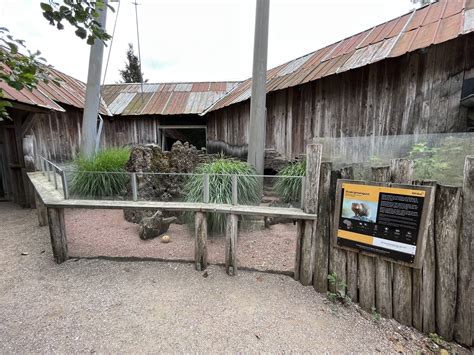 African Waters Aviary Dwarf Mongoose Exhibit Zoochat