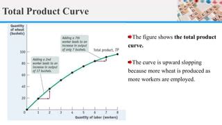 Production Theory ECO 101 PPT