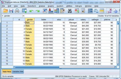 Data View Classroom Spss Statistics Basic