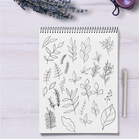 flower leaf tracing guide learn to draw leaves tracing etsy