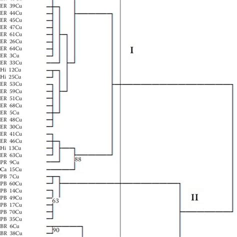 A Dendrogram Formed With The Minimum Descriptors From The Euclidean Download Scientific Diagram