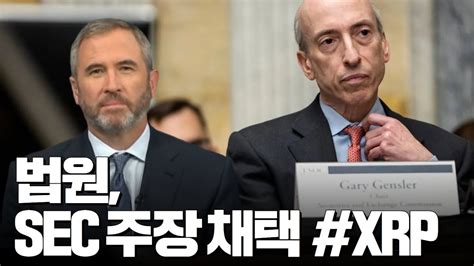 법원 Sec 주장 일부 적용 Xrp Youtube