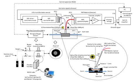 Figure Esi 2 Schematic Diagrams Of The Designed Experimental Setup For