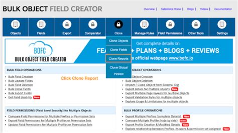 how to bulk clone report in salesforce bofc