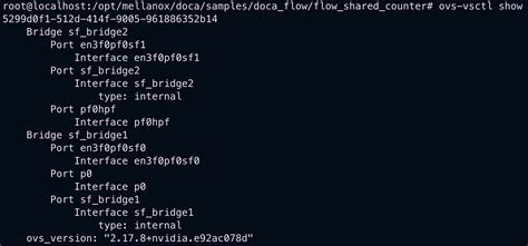 Debugging For Doca Flow Bluefield Nvidia Developer Forums