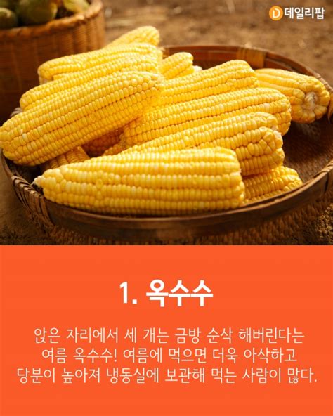 혼족들 어서와 여름 하면 이 과일 이지~ 시워해지는 여름 제철 과일들 데일리팝