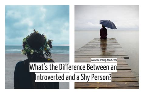 What S The Difference Between Being Introverted And Shy According To Science Learning Mind