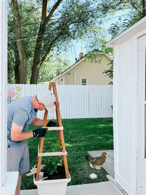 Diy Obelisk For Roses At Home With Ashley