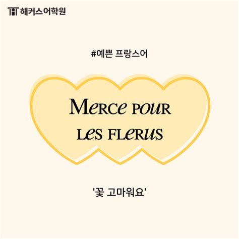 프랑스어 문장 추천 봄과 관련된 뜻 예쁜 프랑스어 모음 네이버 블로그
