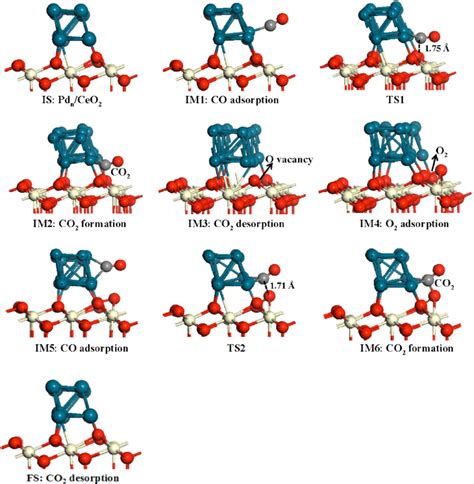 Calculated Structures Of The Intermediates And The Transition States In