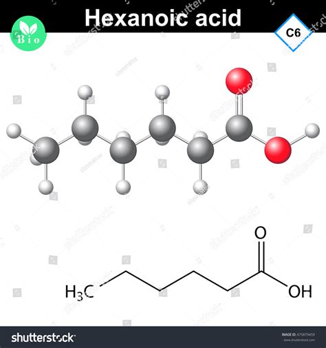 Hexanoic Acid Molecule Chemical Formula Molecular Stock Vector Royalty