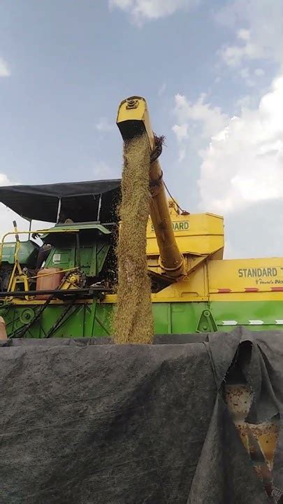 Paddy Cutting Machine Youtube