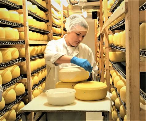 What Is Cheese Grading And How Does Cheese Mature