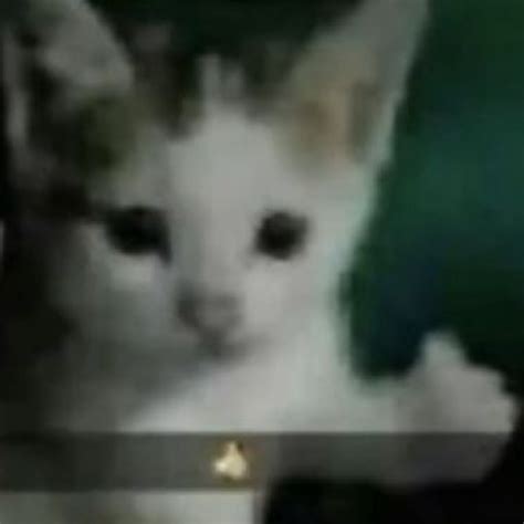 Bruce Glasses Inc Youtube