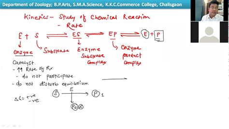 Enzyme Kinetics Basics At Jordan Bullard Blog