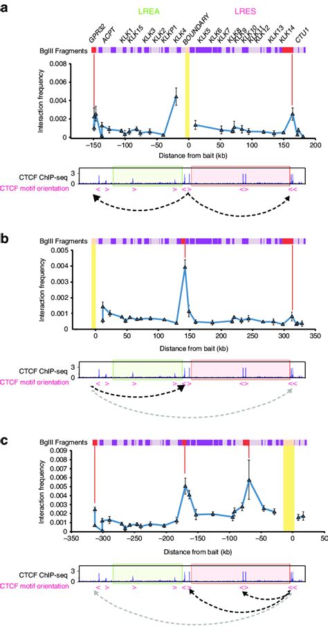 3d Structure Of The Klk Locus Compartmentalises Expression Domains A