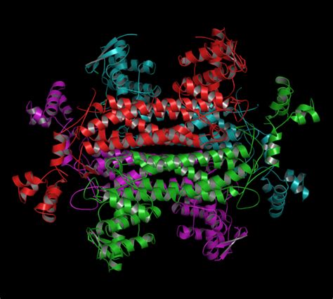 World Of Biochemistry Blog About Biochemistry Krebs Cycle Enzymes