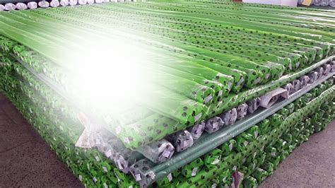 Sole Distributor Pipa Ppr Asialing Pt Asialing Pipa Indonesia