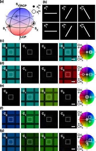 Simulations Of Measurements With The Linear Polarization Scheme A