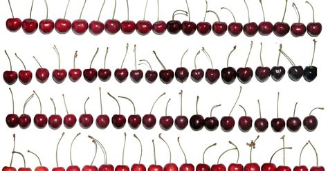 Manejo Generico De Alimentos Por Liz Bretón Tarea 1 Tipos De Cerezas