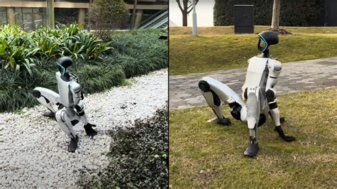 Humanoid Robots Achieve Breakthrough In Autonomous Recovery With New Ai Framework Success