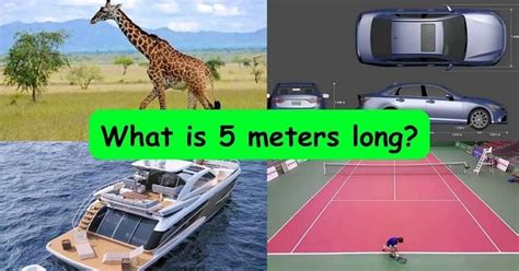 Understanding The Size Of 100 Square Feet