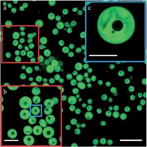 A Microfluidic Production Of Particles With A Permeable Shell And A