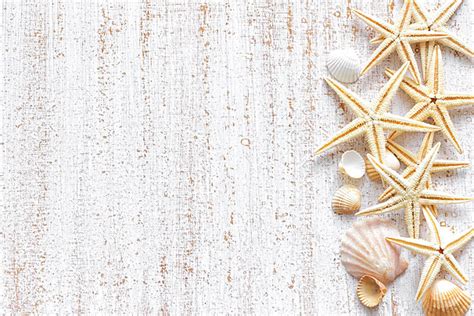 Sea Shell Frame Sea Shell Border Decor Vector Sea Shell Border Decor Png And Vector With