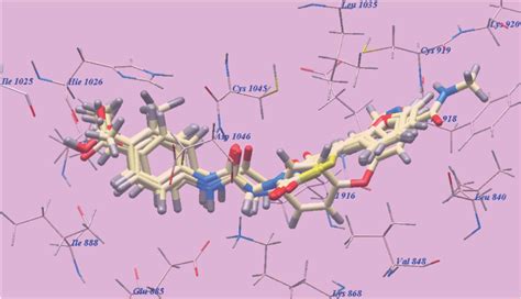 Superimposition Of Some Docked Compounds Inside The Binding Pocket Of