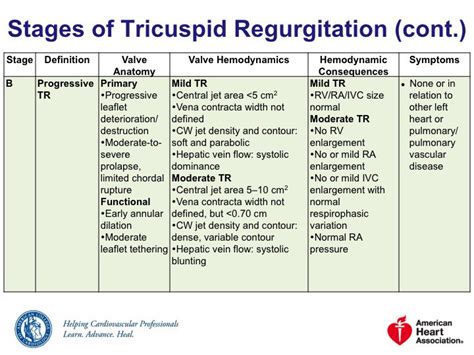 Thread By Noshreza The Forgotten Valve For The New Anatomy