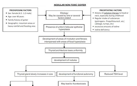 Pathoshoppe Pathophysiology Nodular Nontoxic Goiter