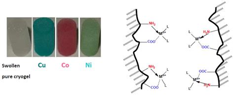 Physicochemical Complexation And Catalytic Properties Of Polyampholyte
