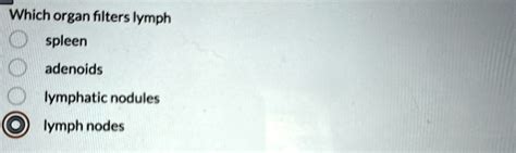 Which Organ Filters Lymph Spleen Adenoids Lymphatic Nodules Lymph Nodes