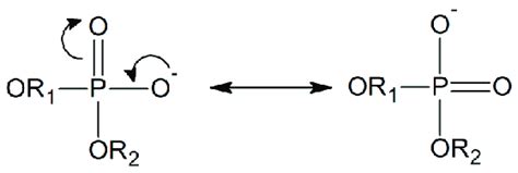 Radial Distribution Functions Gr For Atom Pairs Water Hydrogen And