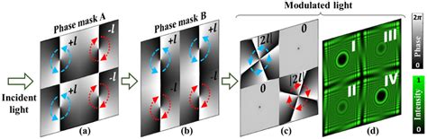 Illustration Of 2d Xor Operation Using Optical Vortices For L 2