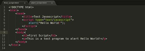 JavaScript And JSON Essentials Packt