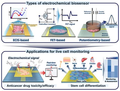 Mdpi Review Of Electrochemical Biosensors Biosensors Mdpi Posted On The Topic Linkedin